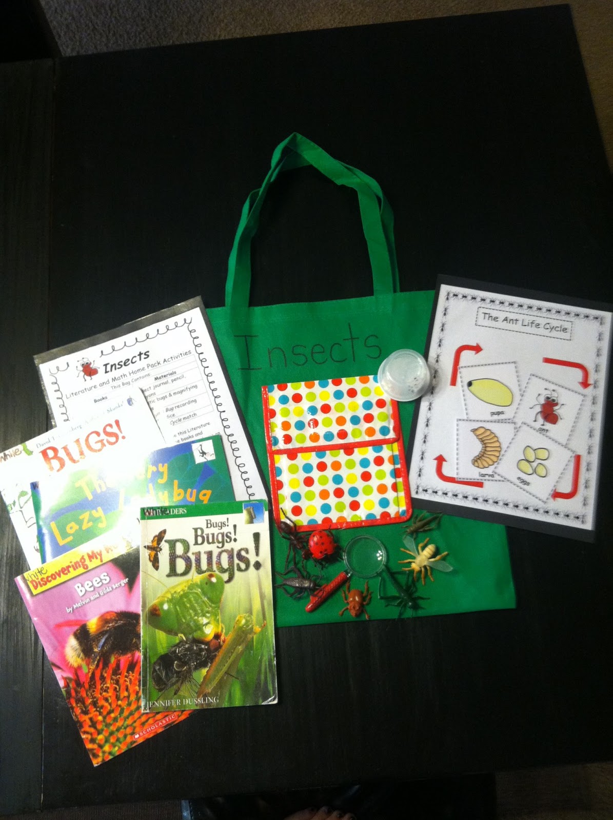 Ms. White's Kiddos: Literacy & Math Bags: Pack One