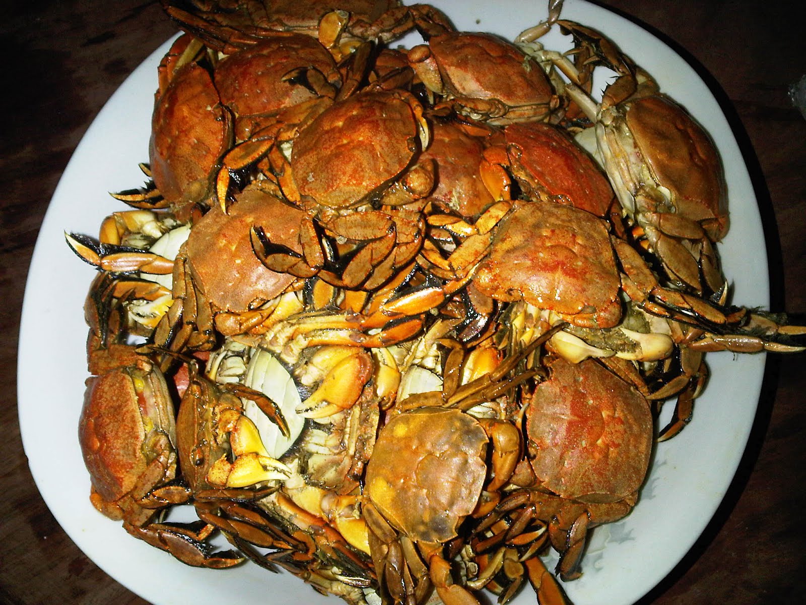 Dimmpss' Chronicles: Talangka!