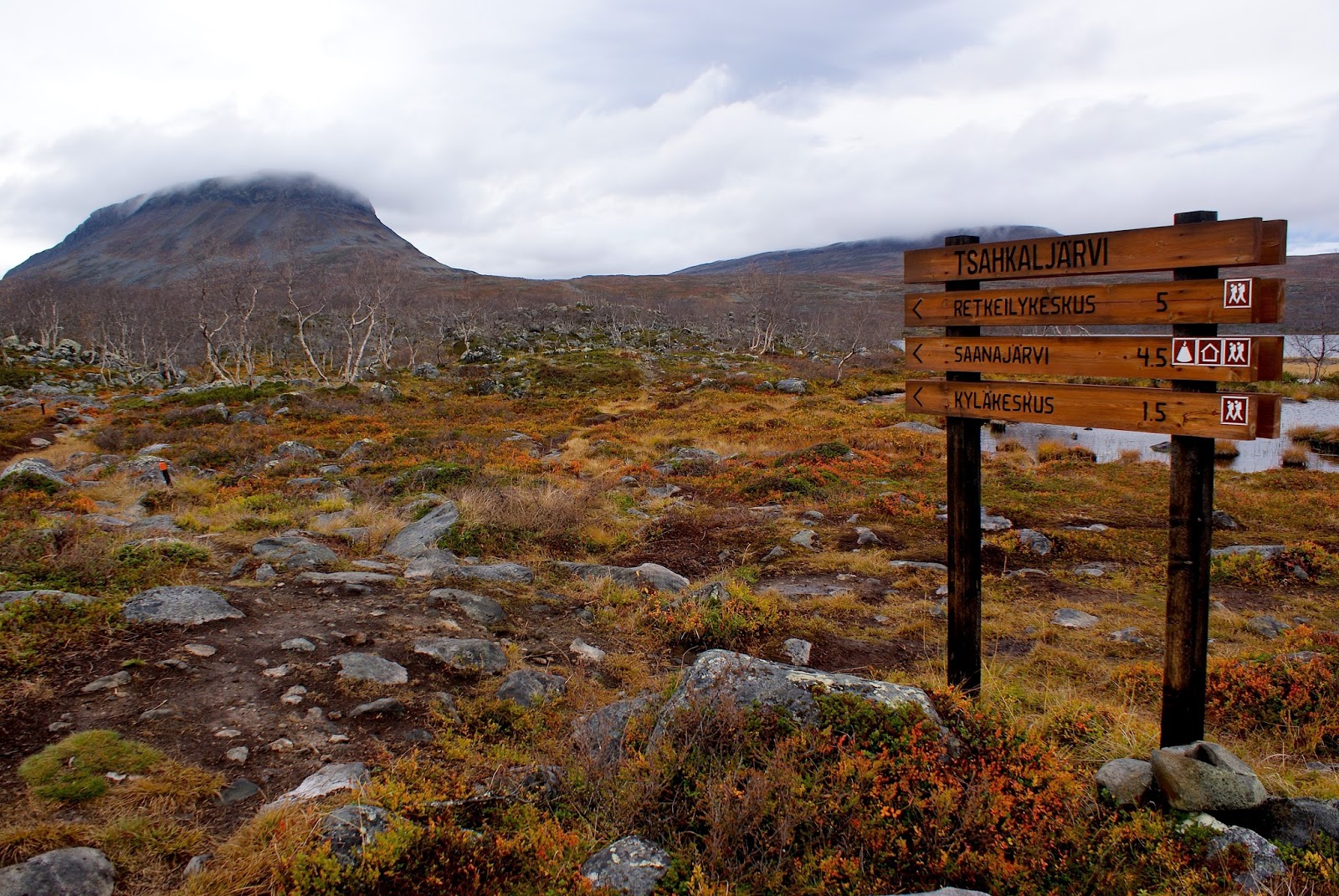 Auringonkalastaja: Saana