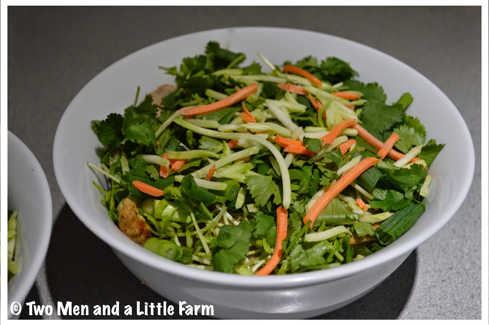 Two Men and a Little Farm: QUICK AND EASY PHO RECIPE