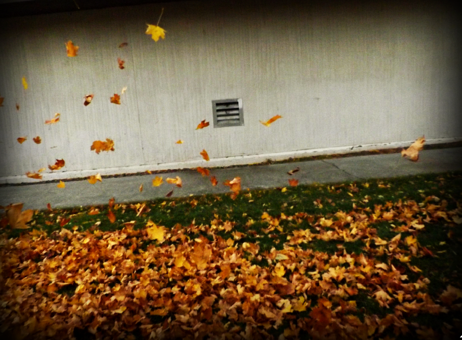 Mary's Digital Media: Shutter Speed (fast and Slow) Photo Shoot