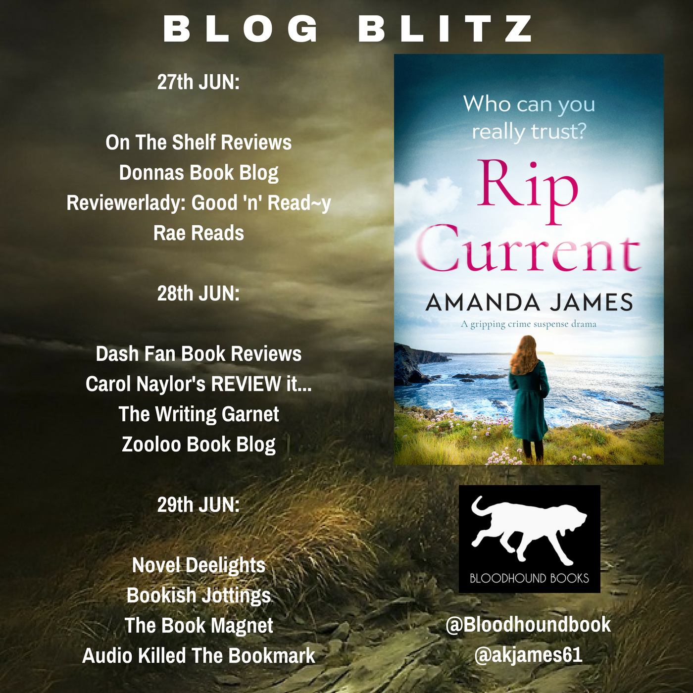 The Book Magnet: BLOG BLITZ: Rip Current - Amanda James