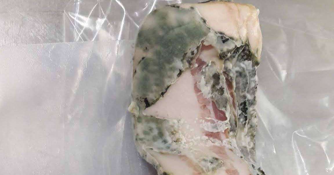 Sustainable Mycology: Green bacon