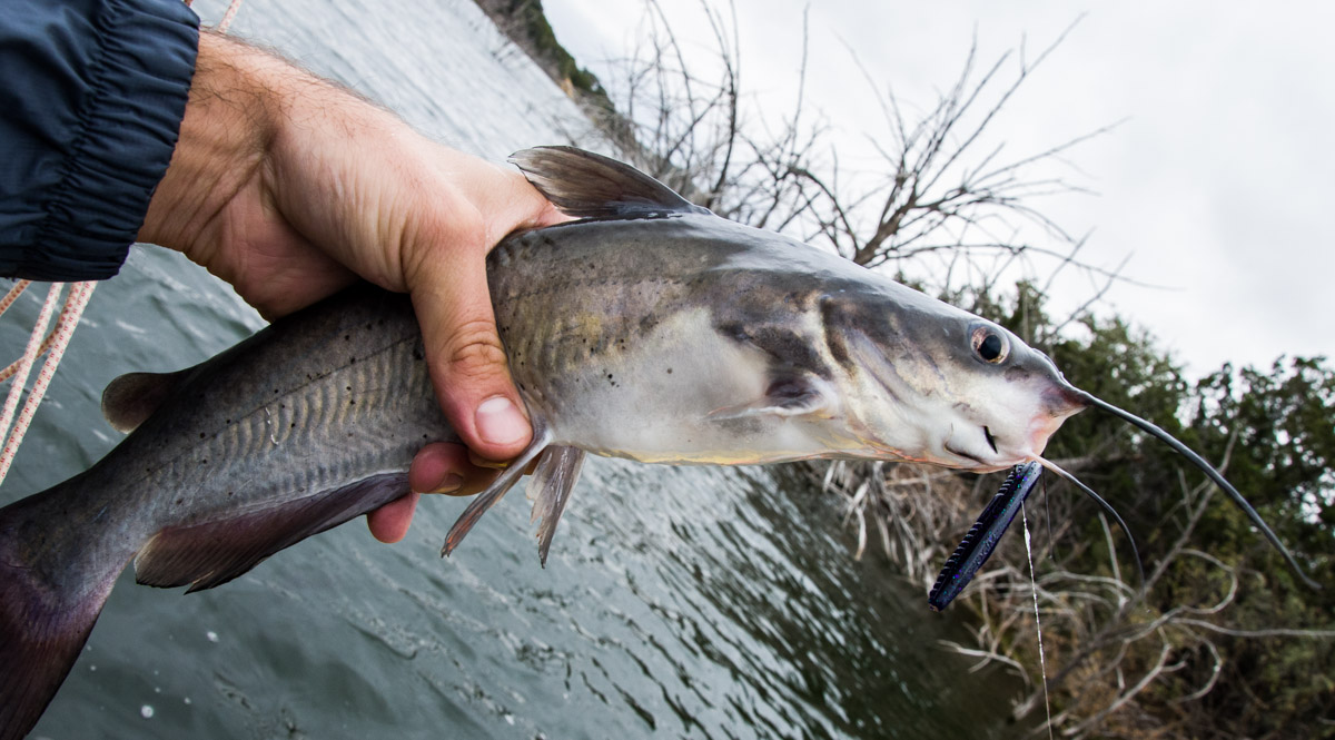 Fishing at Squaw Creek Reservoir