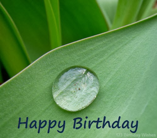 Best Birthday Wishes and Messages - 123 Birthday Wishes