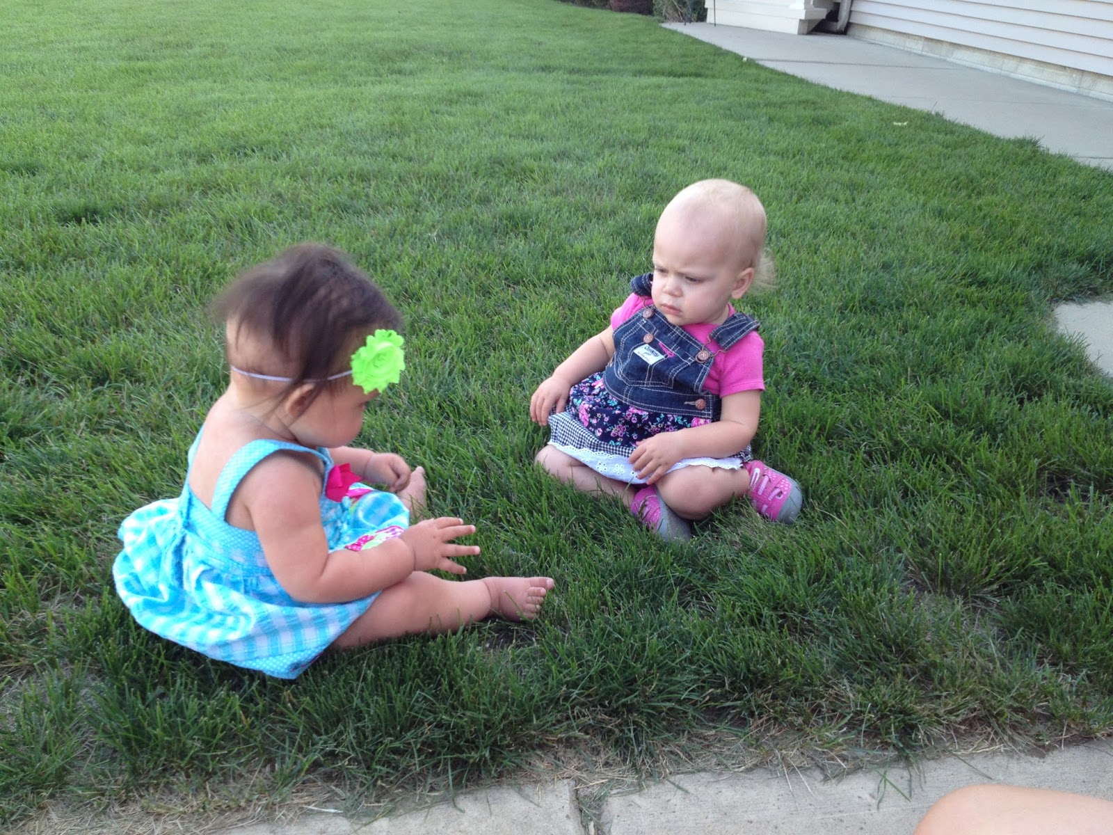 Nelson Family Blog: August 2013