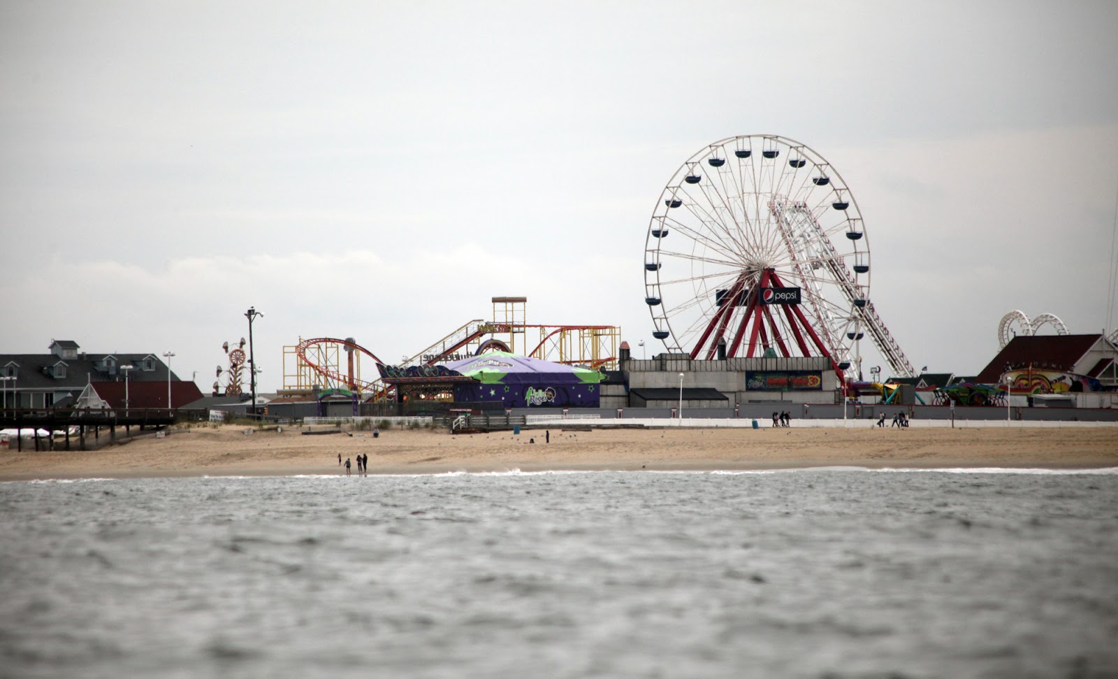 The Log of Spartina: the best, the worst, the weirdest