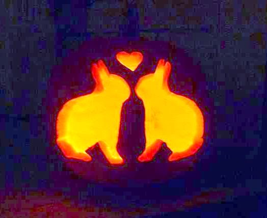 Rabbit Ramblings: Bun o' lanterns -- Bunny pumpkins for Halloween