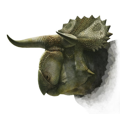 Species New to Science: [Paleontology • 2013] Nasutoceratops titusi • A ...