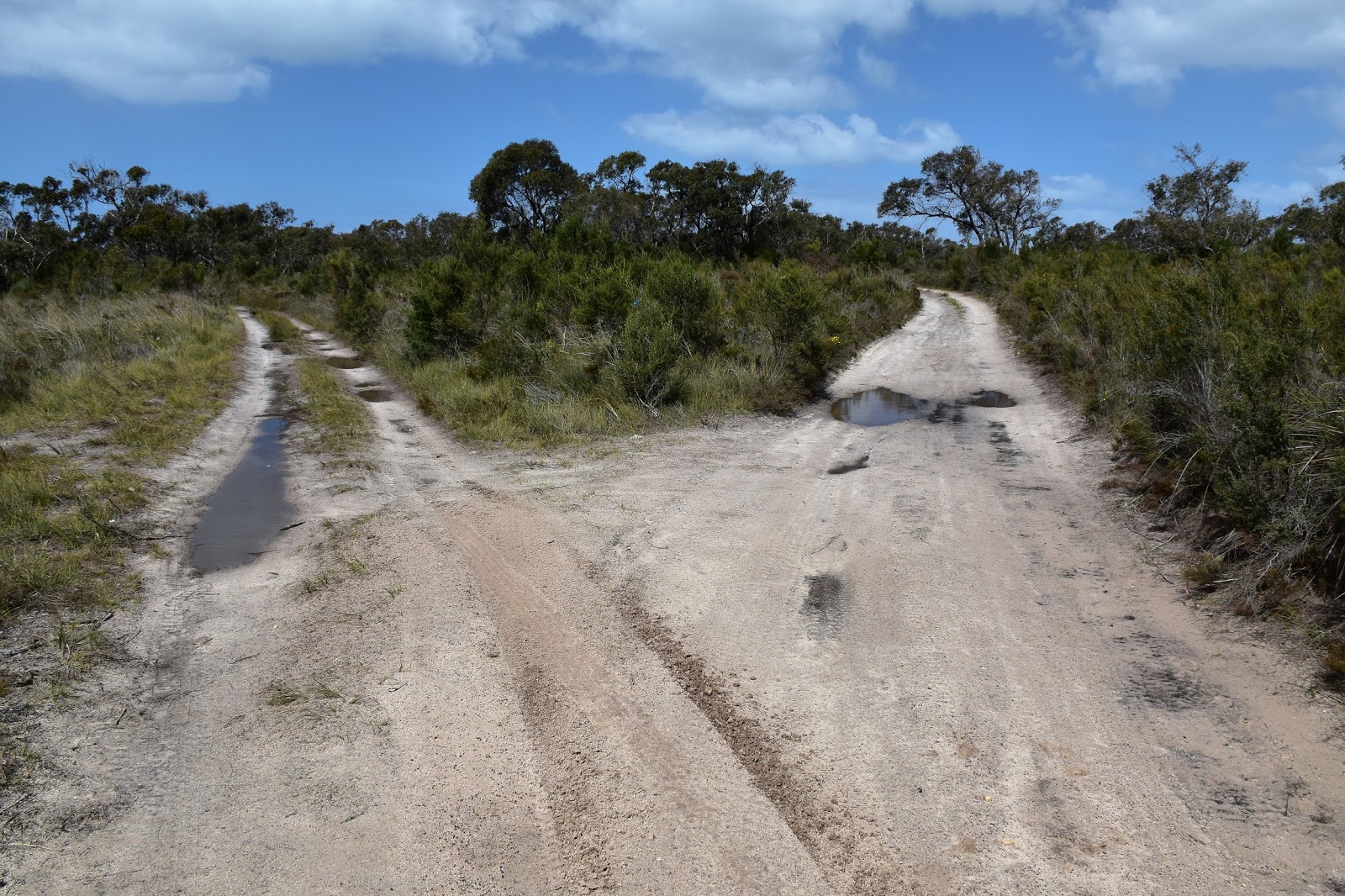 Goin' Feral One Day At A Time: Anglesea Heath Circuit - September 2017
