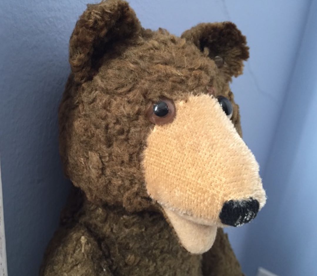 MY STEIFF LIFE: This Distinctive Steiff Teddy Baby Is One International ...
