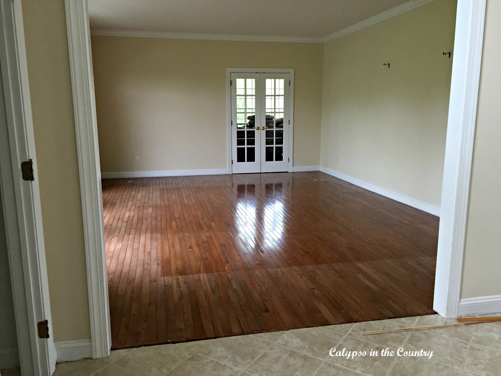 Renovation Progress - Major Developments and Floor Stains - Calypso in ...