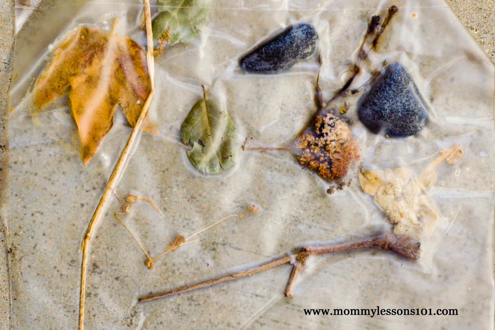 Mommy Lessons 101: 10 Earth Day Activities for Kids