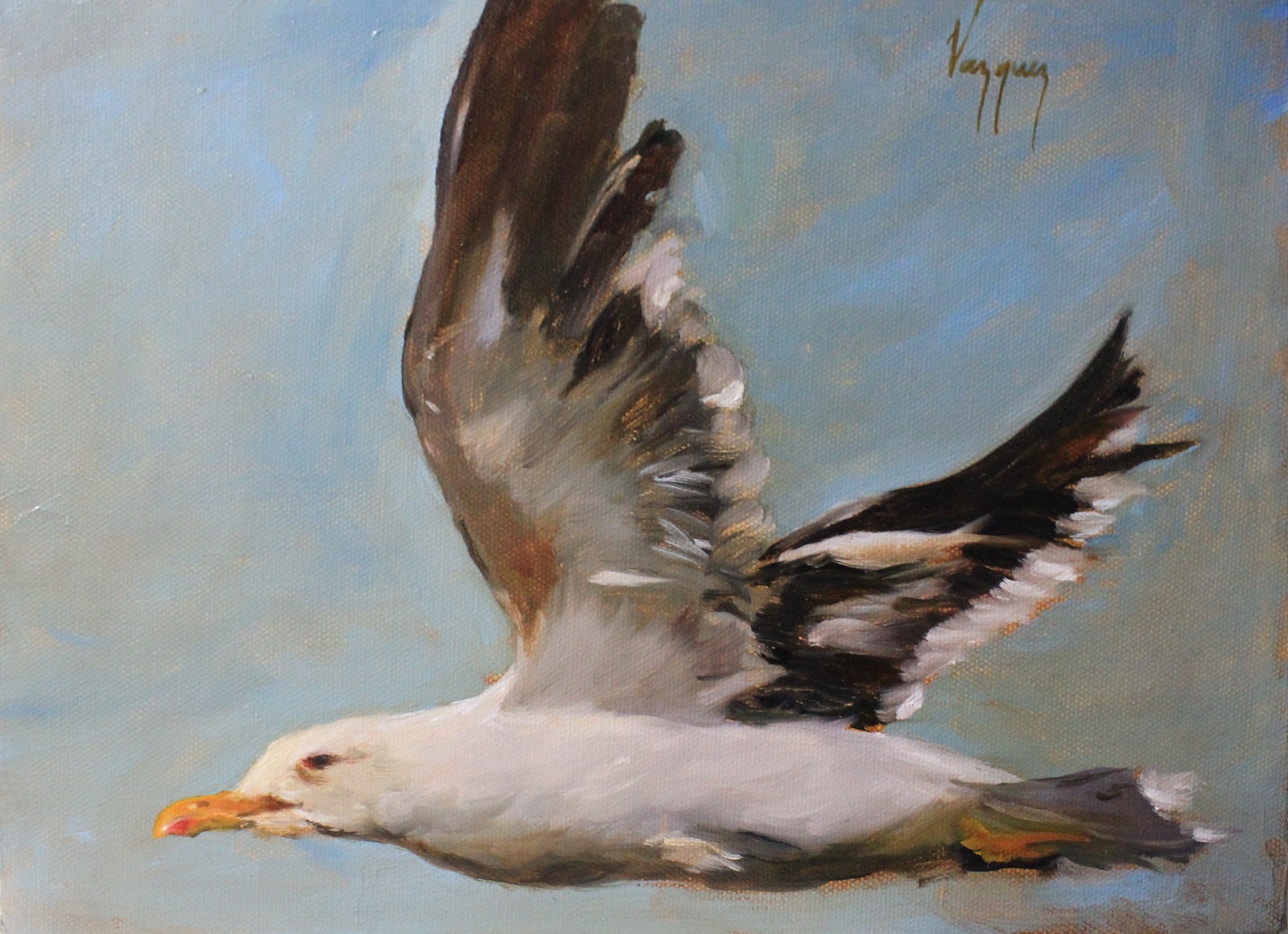 Marco A. Vazquez: oil painting seagull