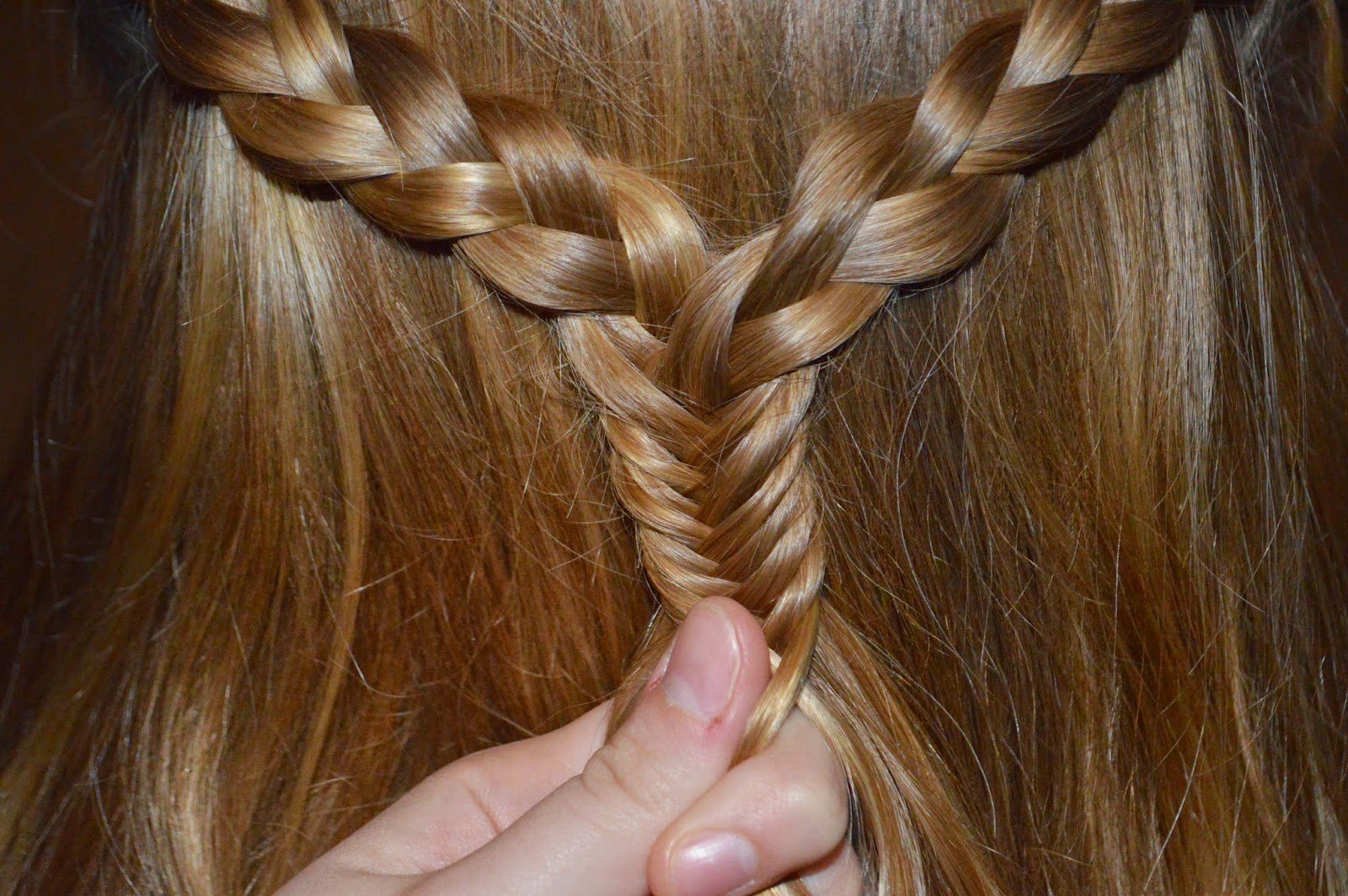 Whatsoever Things Are Lovely: Medieval Braid Wrapped Braid / / Hair ...