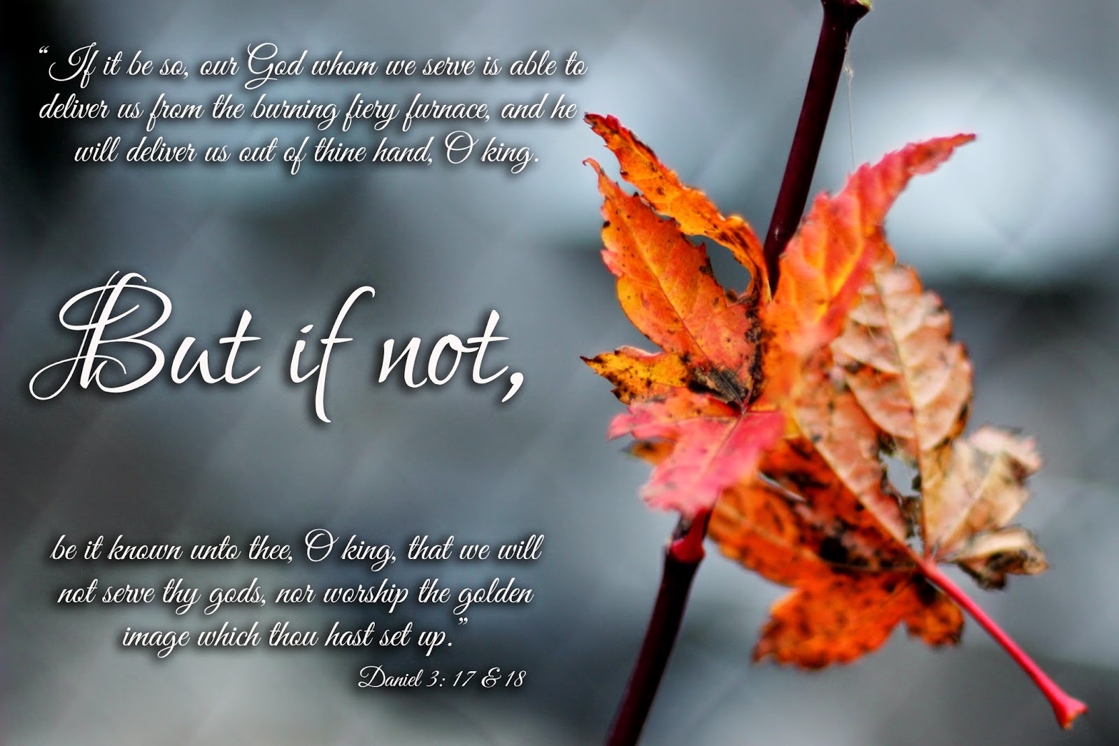 Raindrops of Happiness