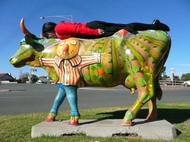 The amazing adventures of Cazzbo: Shepparton Cows