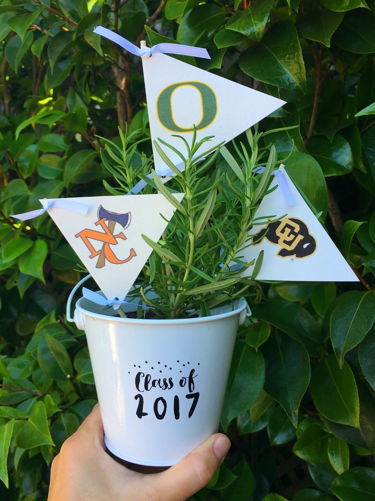 Jac o' lyn Murphy: A Duck, Buffalo & Lumberjack's Graduation Pizza Party