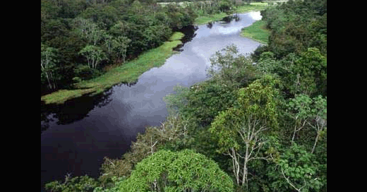 La sequía en el Amazonas se puede ver desde el espacio ~ Azul Vital