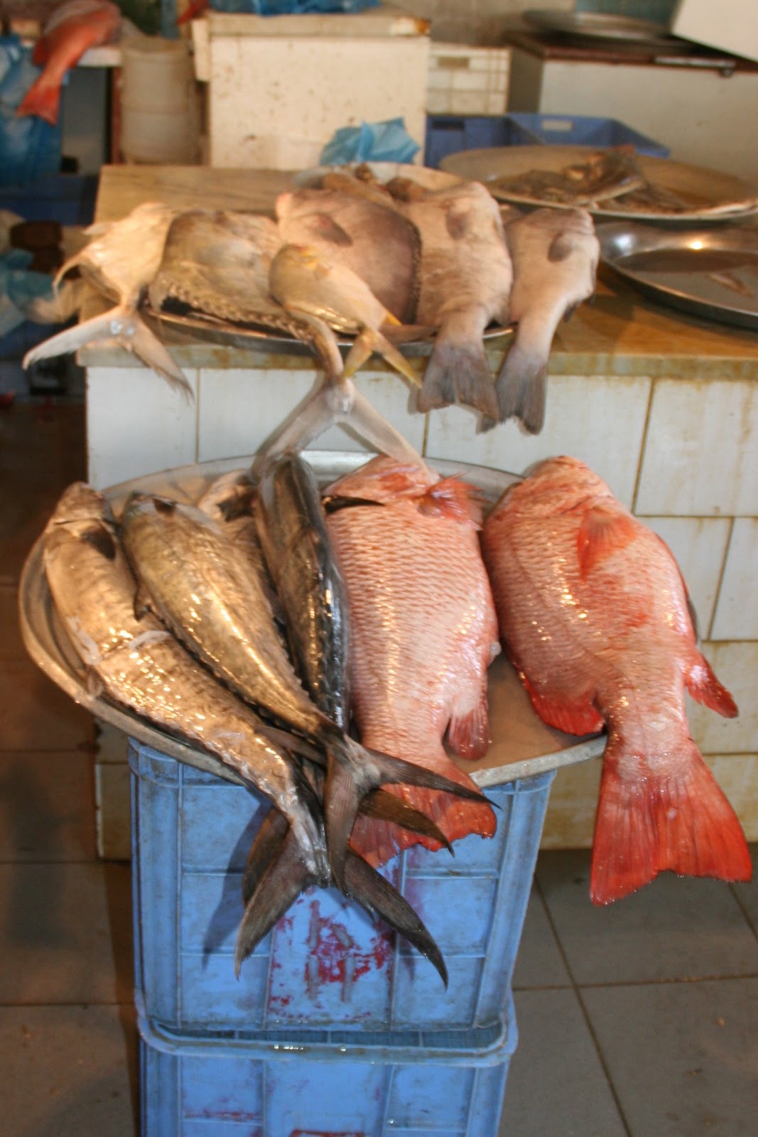 Saudi Scenes: Suq Al-Samak