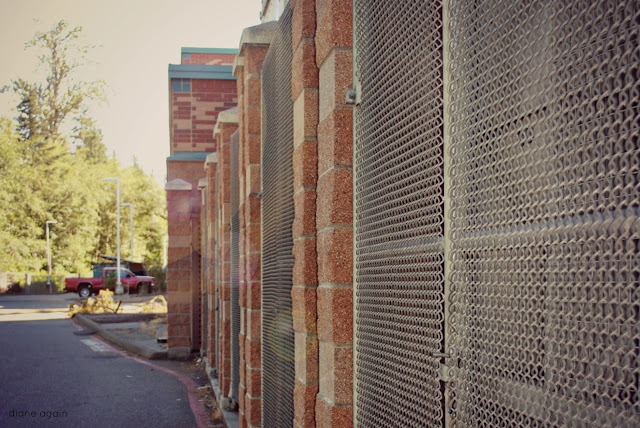 Diane Again: The Importance Of Ugly Places