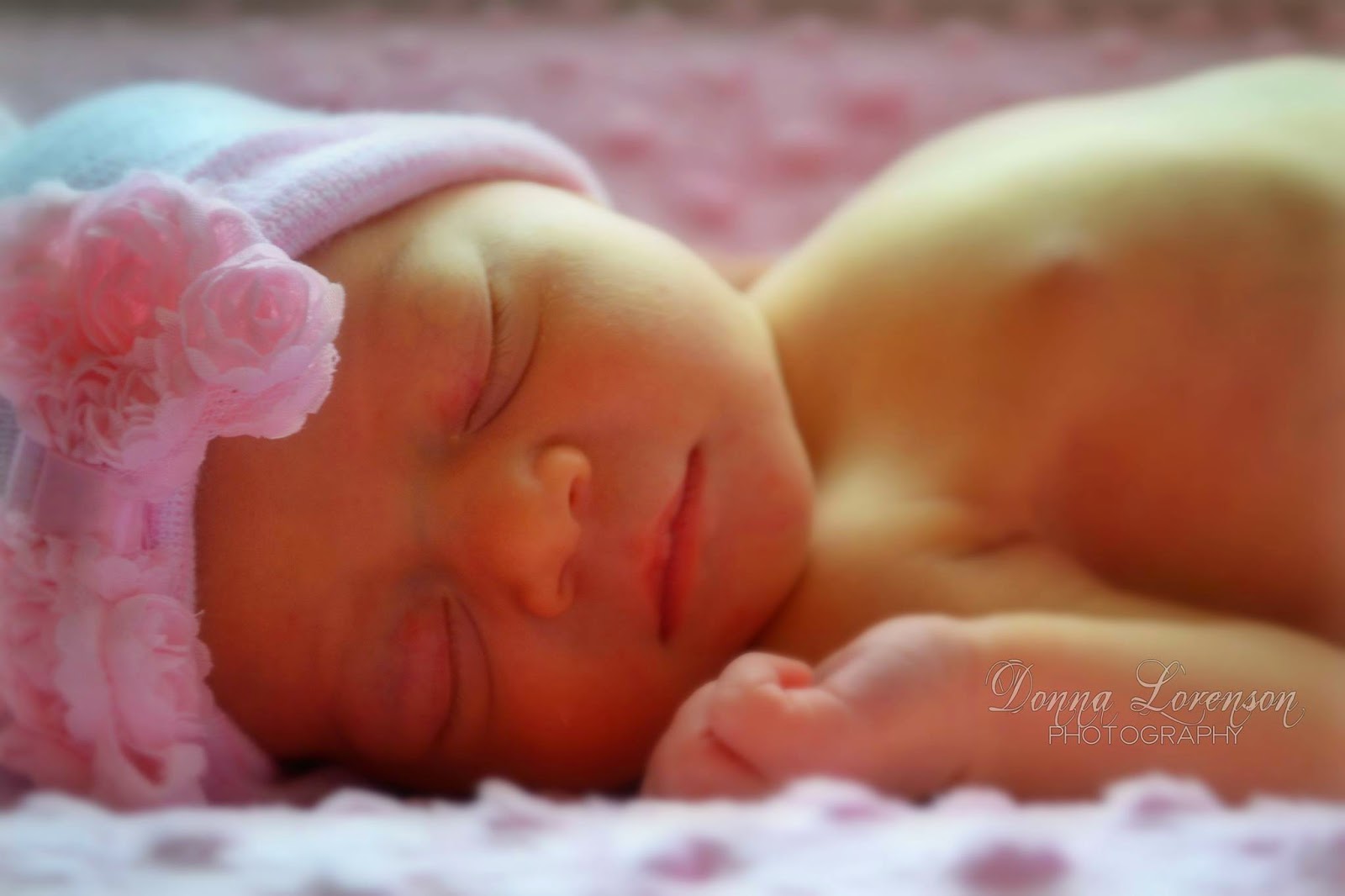 Donna Lorenson Photography