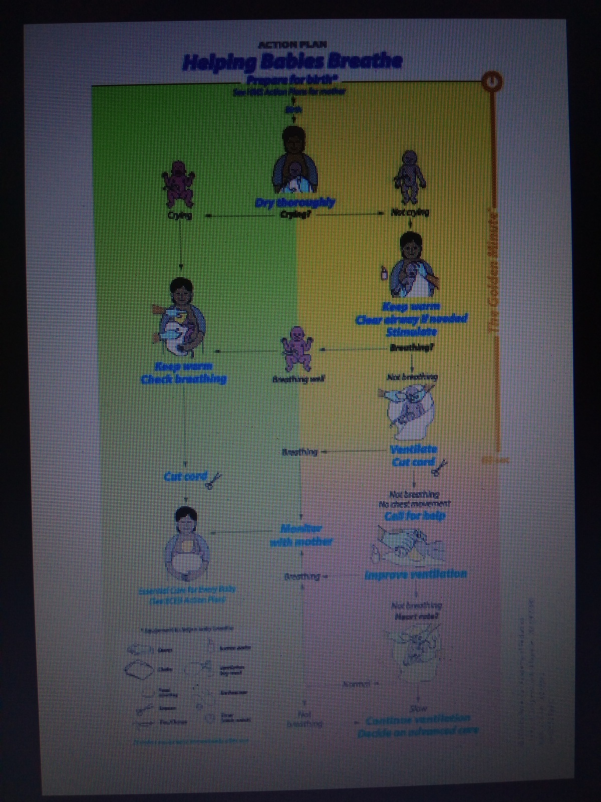 Histology Slides Database: hbb revised