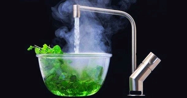 Conservas Caseras: Escaldado o Blanqueado