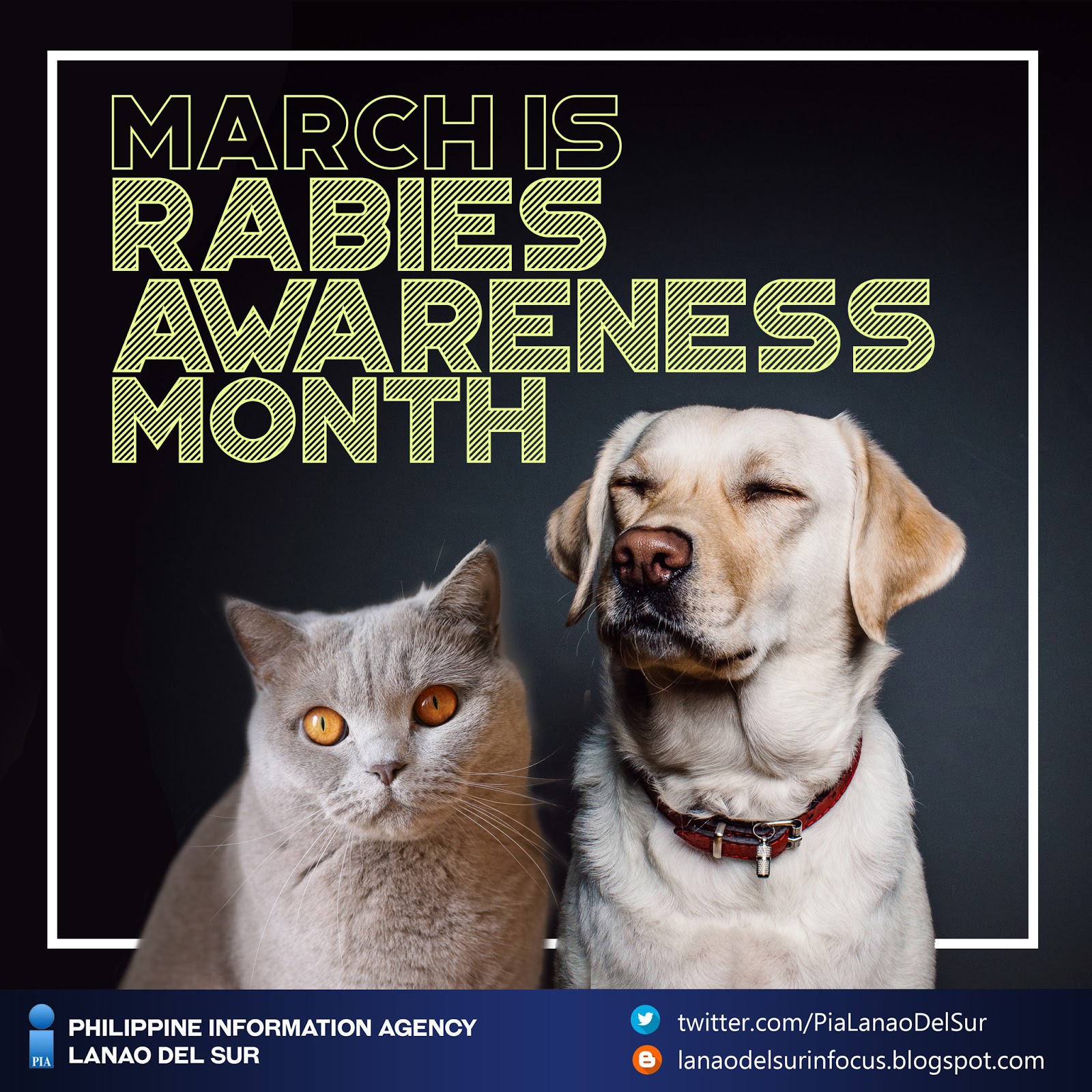 ARMM supports 'Rabies-Free Philippines by 2020' campaign - Lanao del ...
