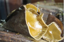 8 Makanan Khas Nganjuk Yang Terkenal - Mangan Enak