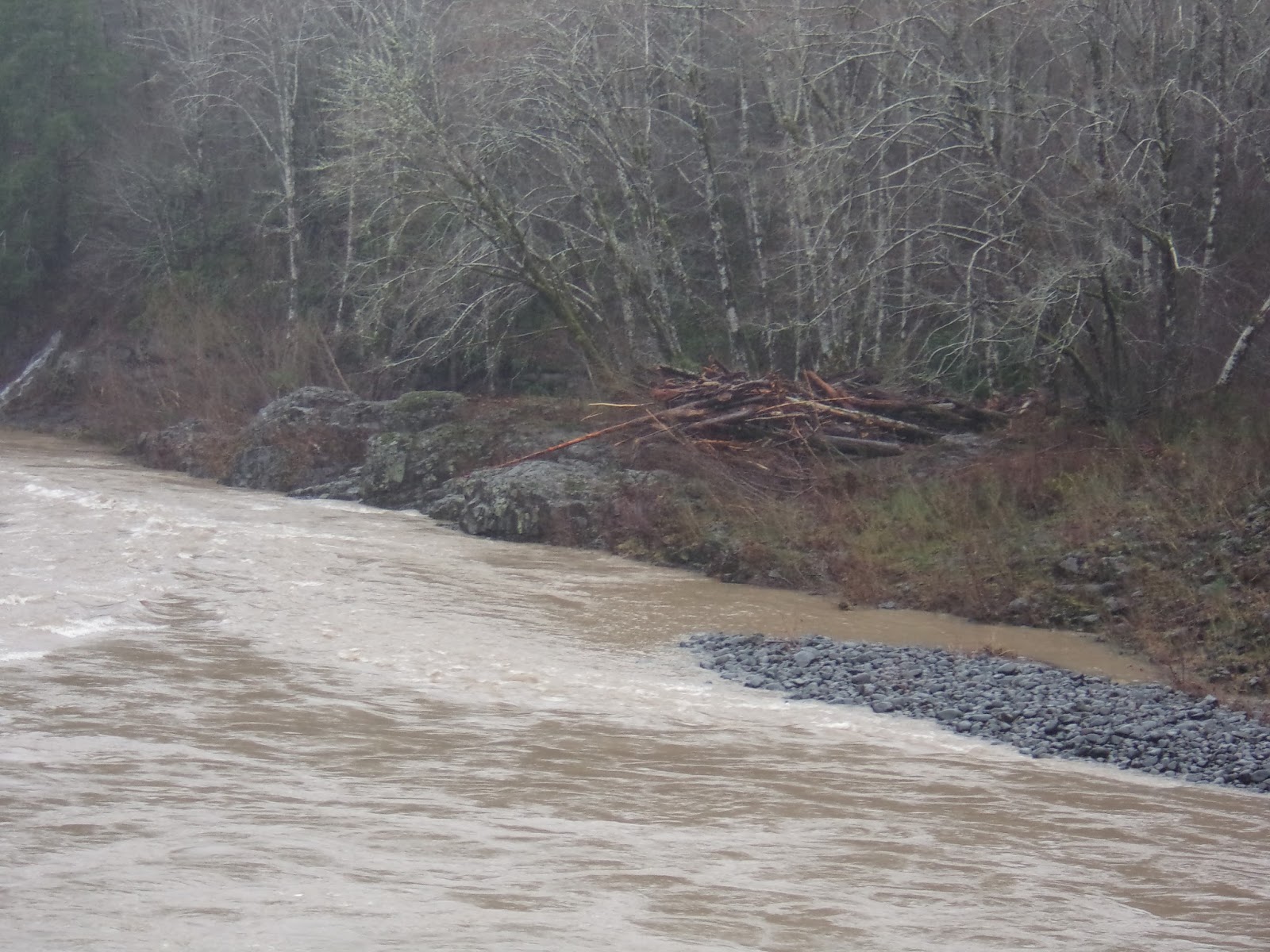 Tillamook State Forest Blog: 2017