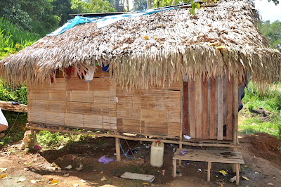 The Olive Journey: Jahai Tribe of Belum Rainforest - Temenggor, Malaysia