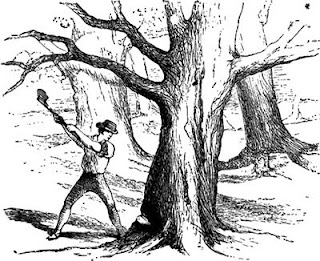 English Novels: The Trees and the Axe