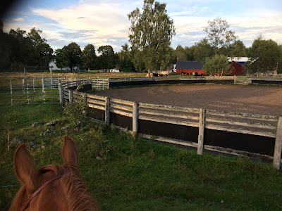 Välkommen till Open Heart Ranch!: På Ranchen