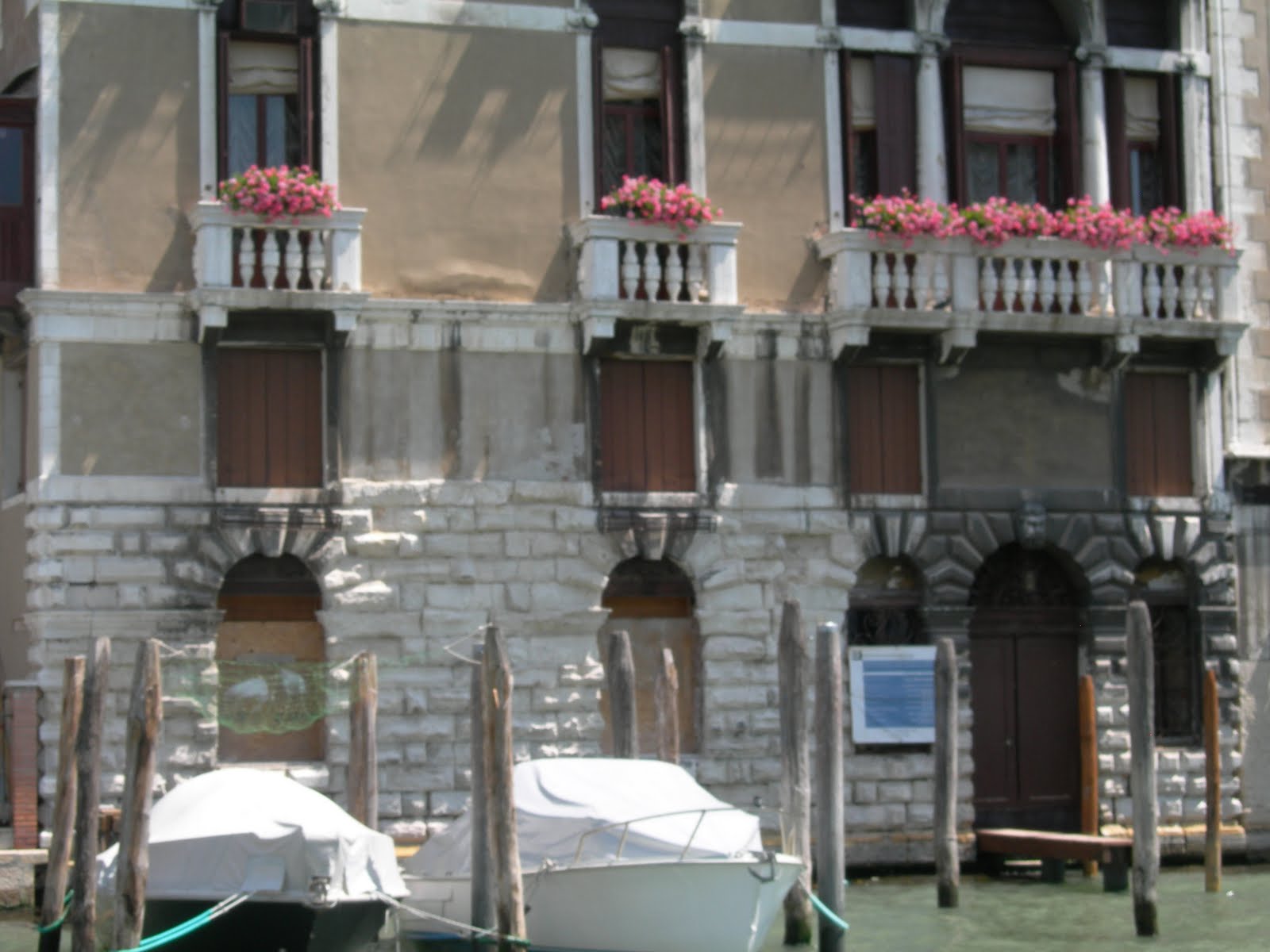 Polystyrene Garden Junkie: June 2011