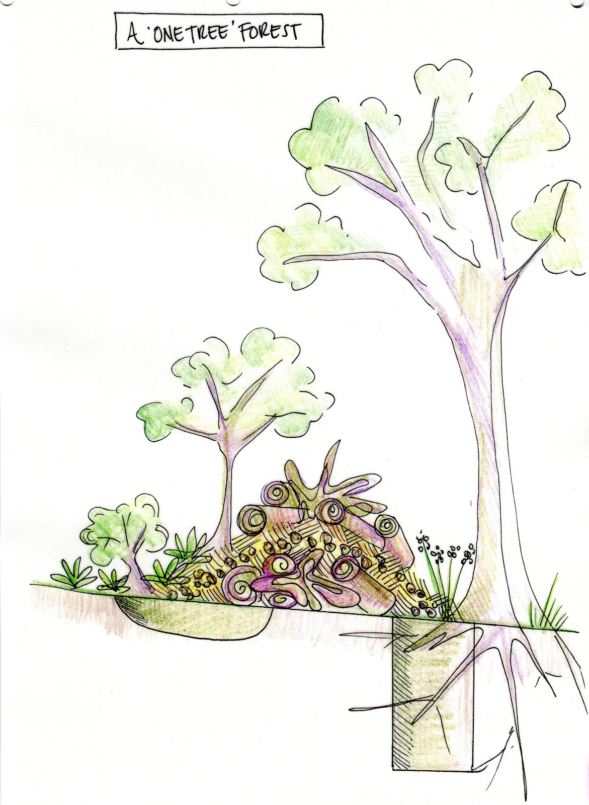 Kyabra Learning Centre, Kentucky, NSW, Australia: Waterless Garden Project