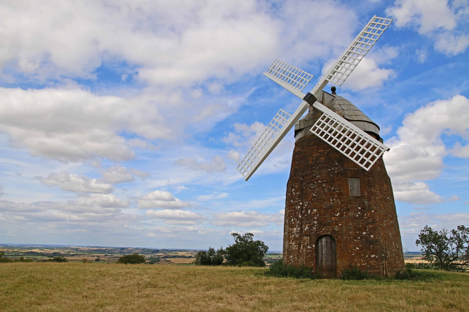 Nature in the Heart of England: Warwickshire's Cotswold Edge: harebells ...