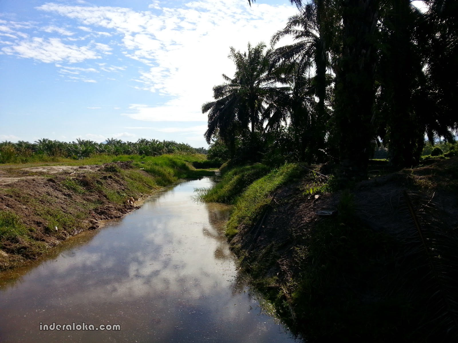 Trip Memancing Haruan Di Chaah, Segamat - Kayangan Cinta Kita