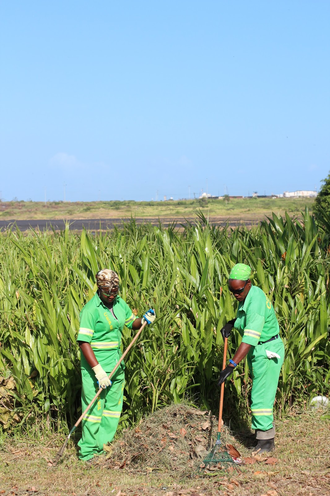 CEPEP Does More: CEPEP partners with Lake Asphalt