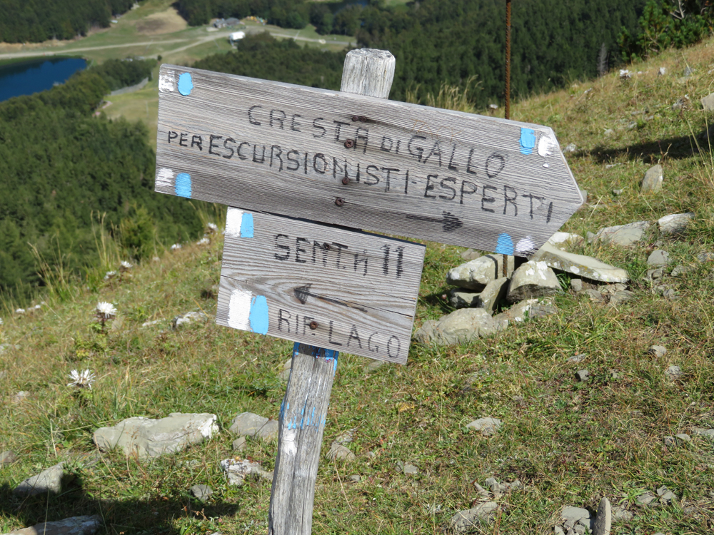 Escursionismo a 360°: Monte Cimone (da Canevare)