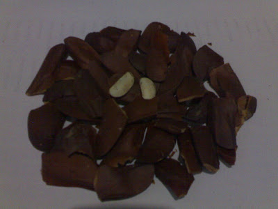 Buah Mahoni Manfaatnya dan Efek Samping | Saraswati Update