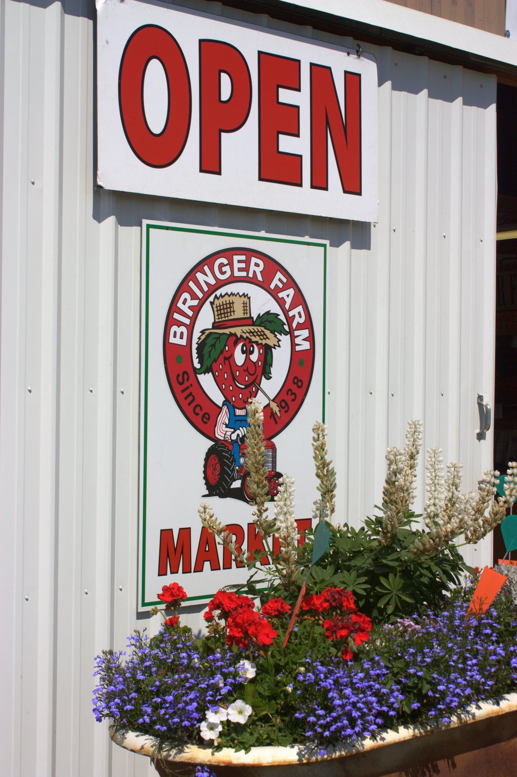Berry Picking at Biringer Farm - home is where my story begins...