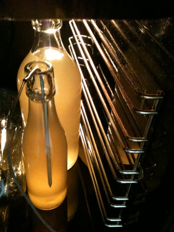 FREDRIK BORGSKOG: Nu har de kommit i flaskor, flädersaften. Till er som ...