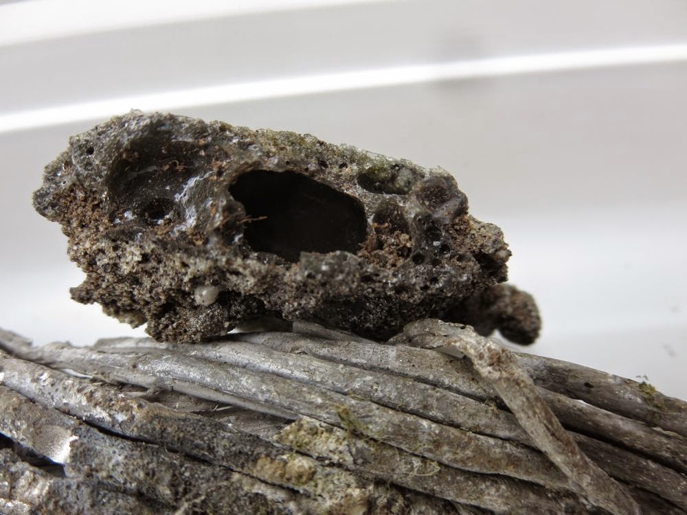 Princeton Nature Notes: When Lightning Makes Glass