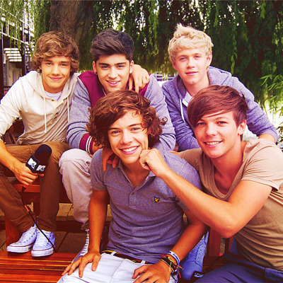 Catherine's blog: Team One Direction