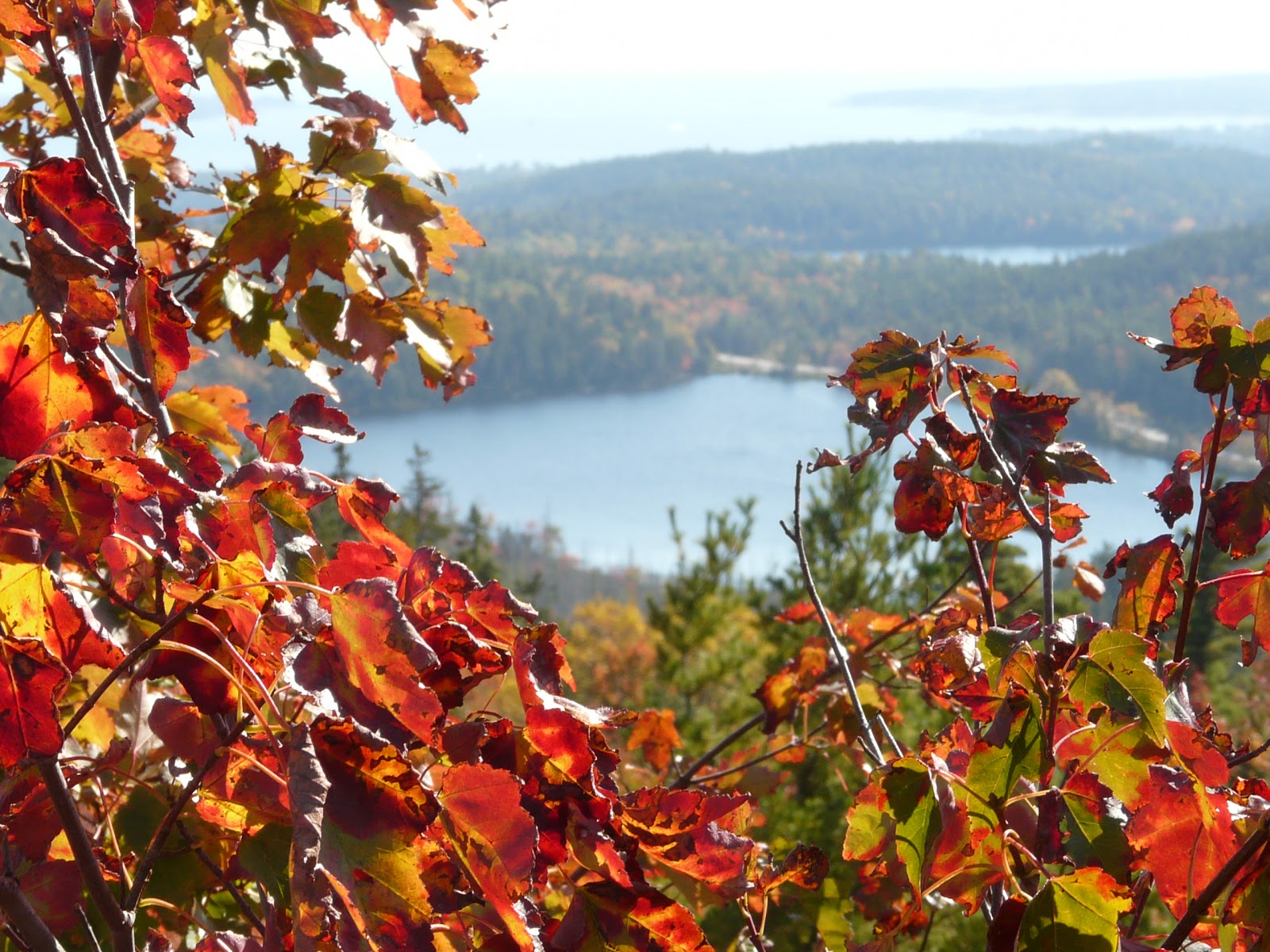 The Freelance Adventurer : Fabulous Fall Foliage Family Friendly Hikes!