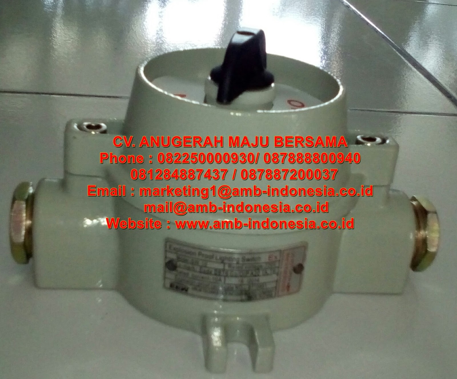 HRLM Explosion Proof Electrical: Selector Switch Explosion Proof Rotary ...