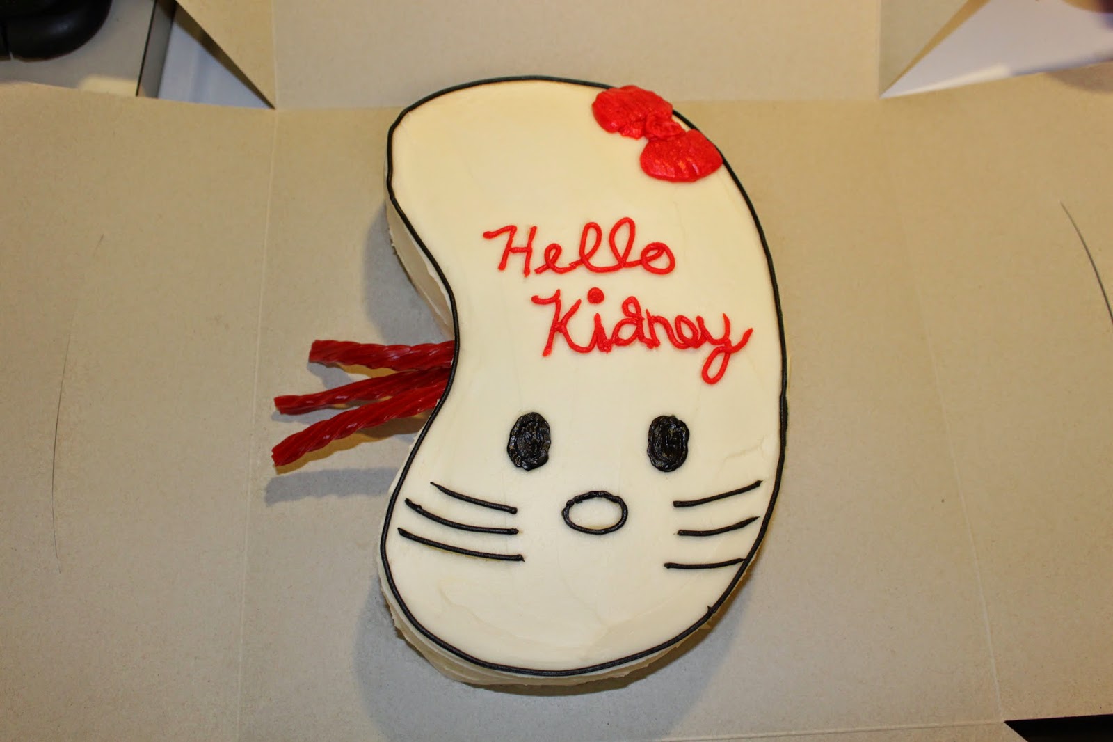 Confessions of a Holiday Junkie!: A Hello Kidney Cake... A Special ...