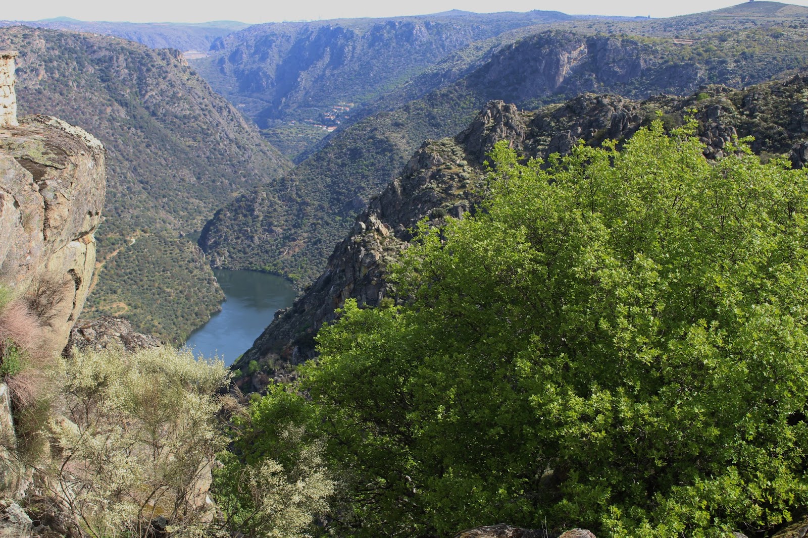 Rinconesibericos: MIEZA-Salamanca-Castilla y León-España