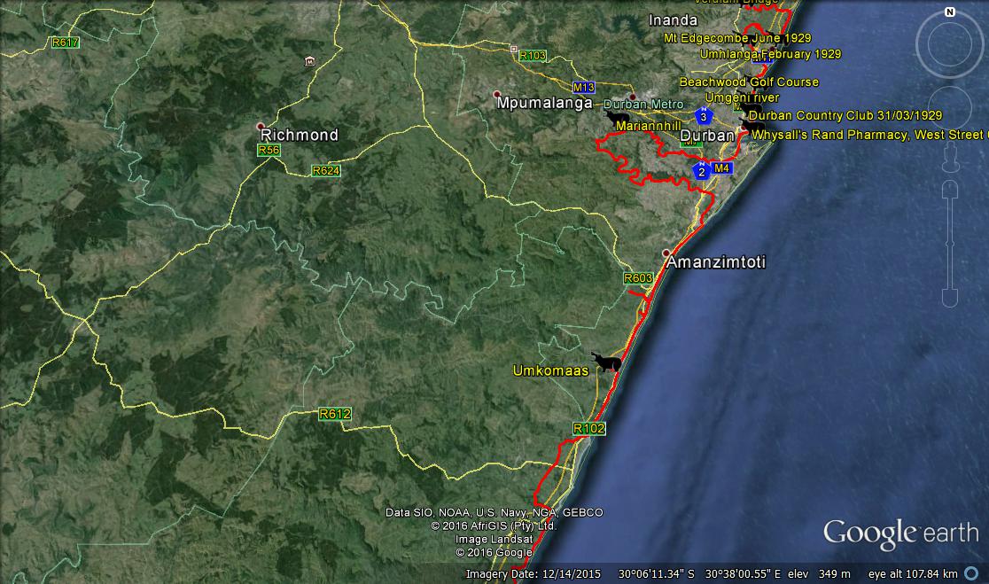 Huberta the hippo : 2016